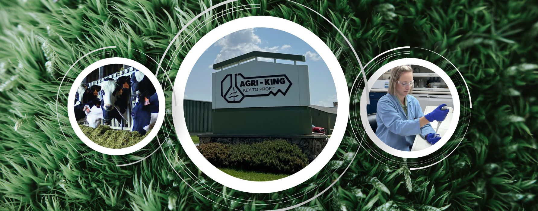 Agri-King | Animal Nutrition Company